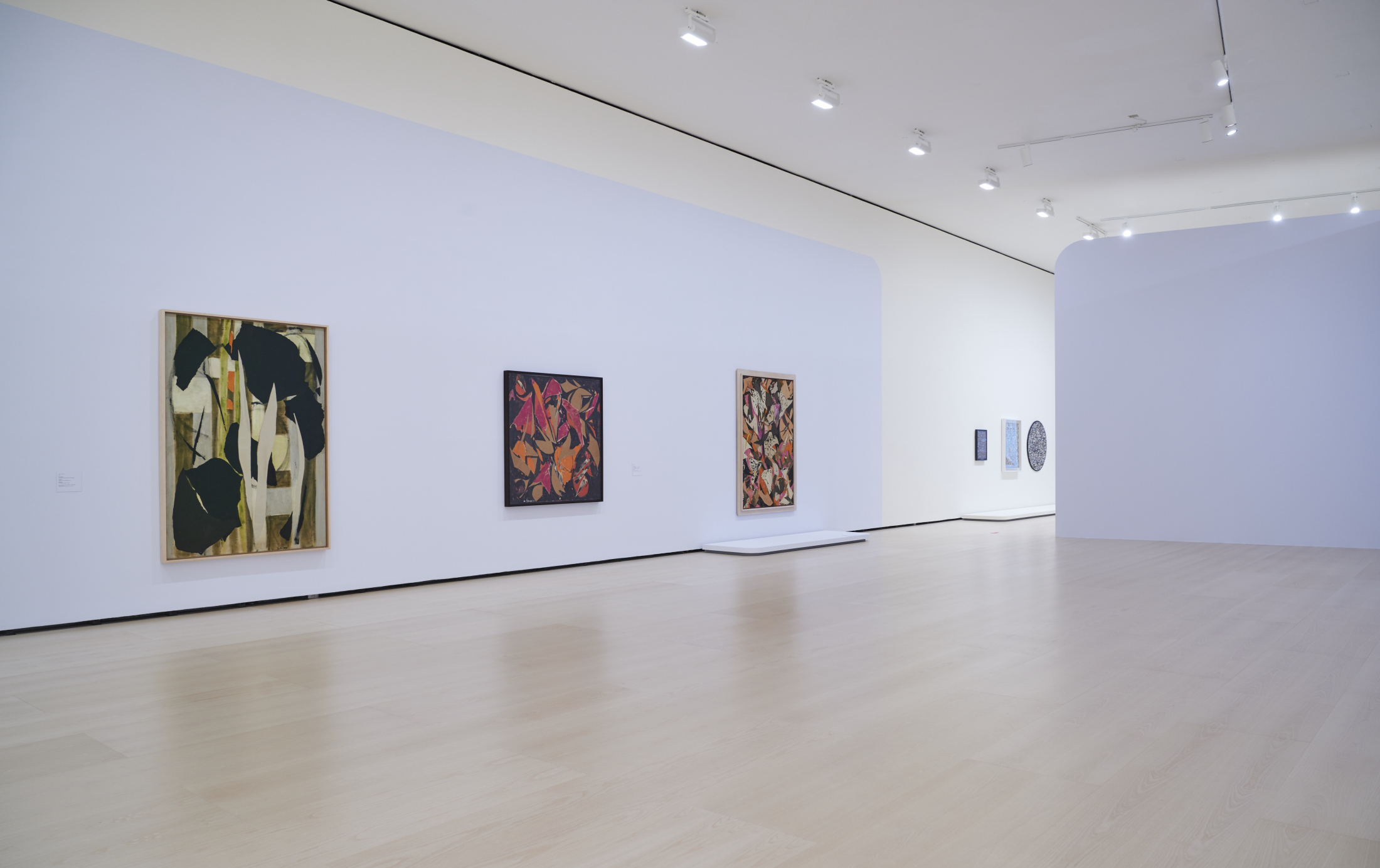 ASOM Collection Solomon R. Guggenheim Museum - ASOM Collection